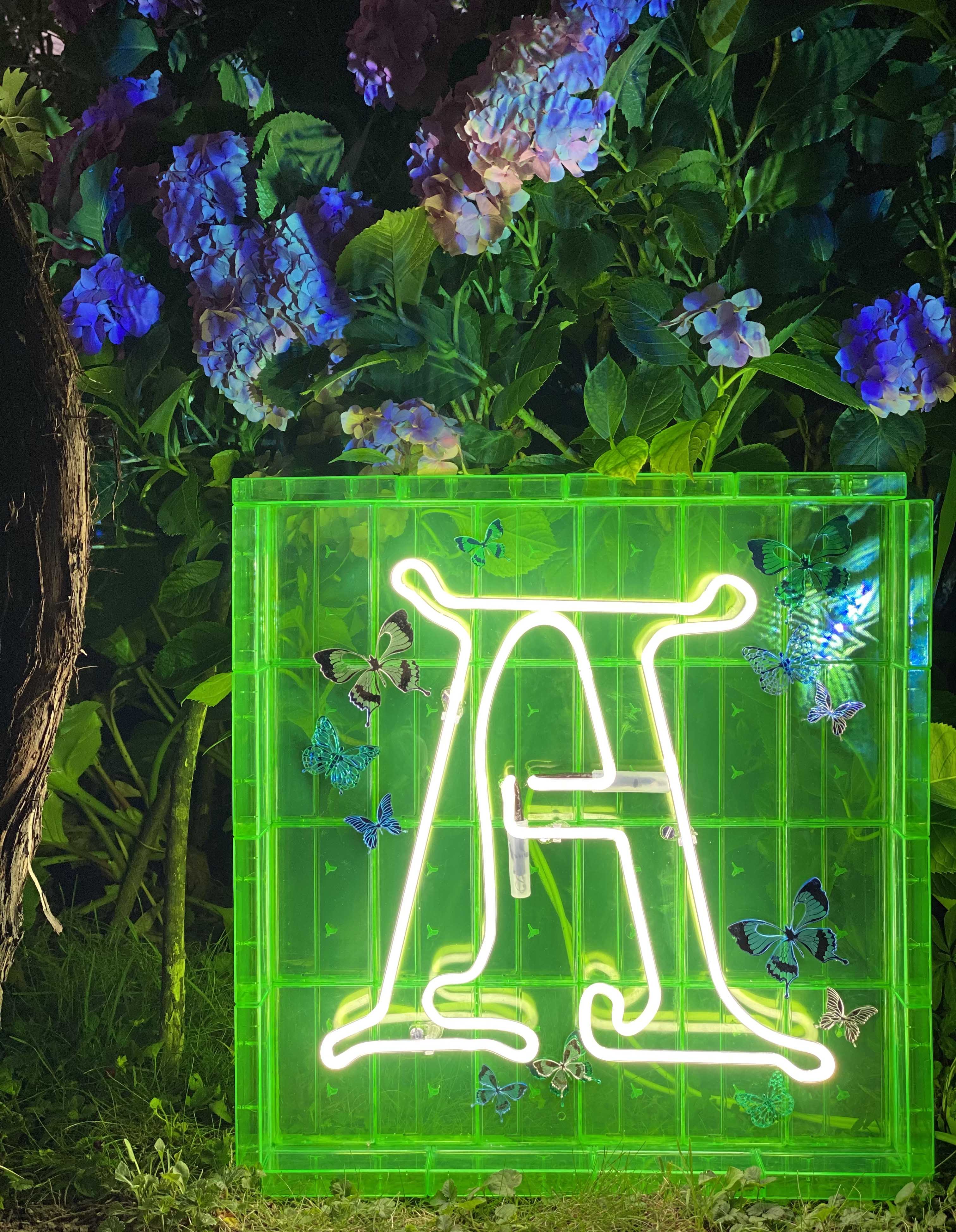 Commissioned Works – The Neon Girl